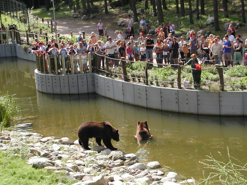 Wildpark-MV - Tourismusportal Barlachstadt Güstrow